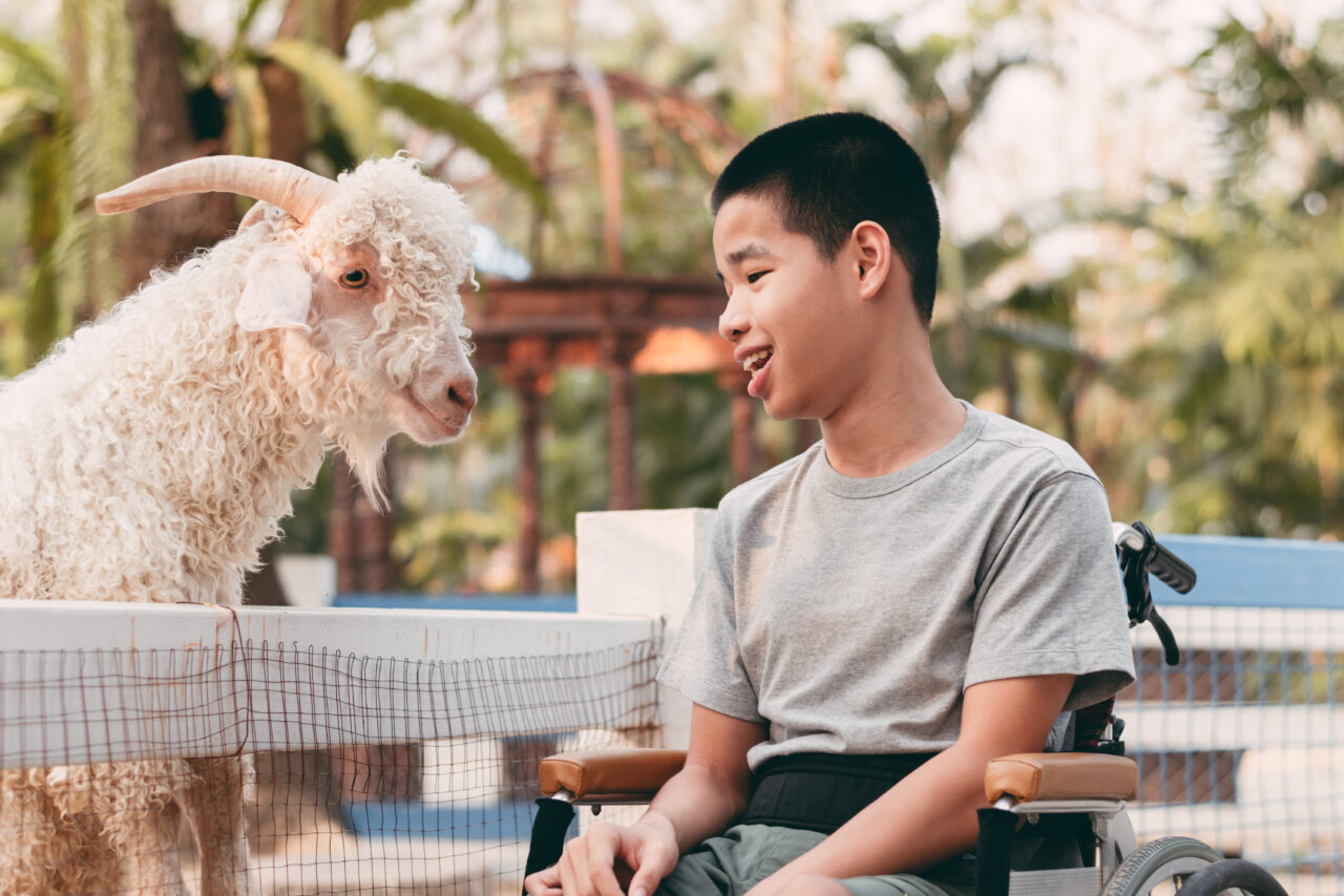 NDIS Animal Program | Compassion Connect