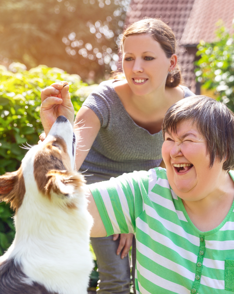 NDIS Animal Program | Compassion Connect