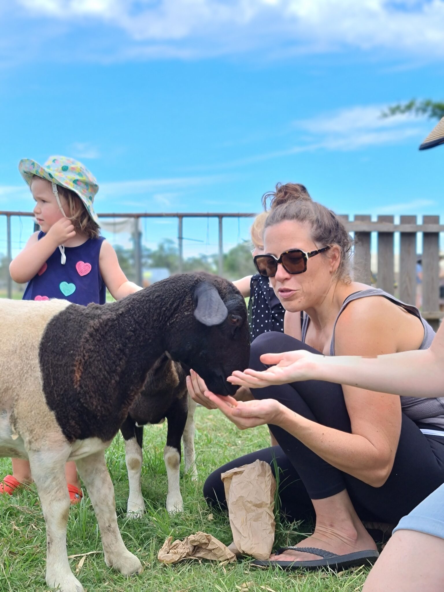 NDIS Animal Program | Compassion Connect