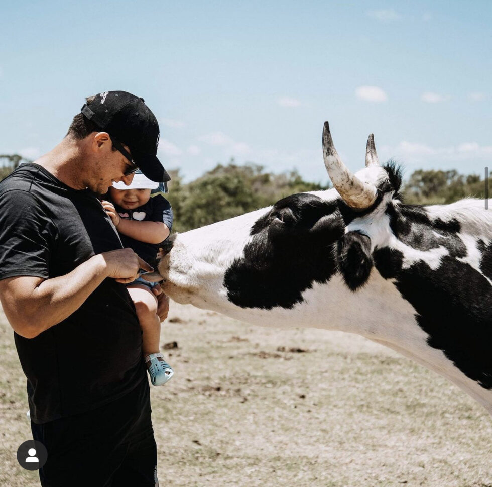 NDIS Animal Program | Compassion Connect