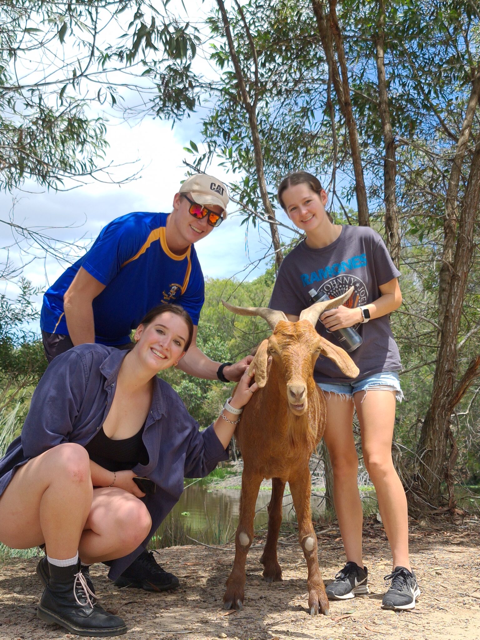 NDIS Animal Program | Compassion Connect